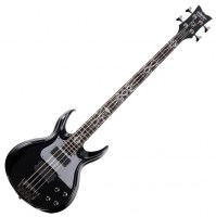 Бас-гитара Schecter Devil Bass Limted Edition BLK - купить в Одессе ...
