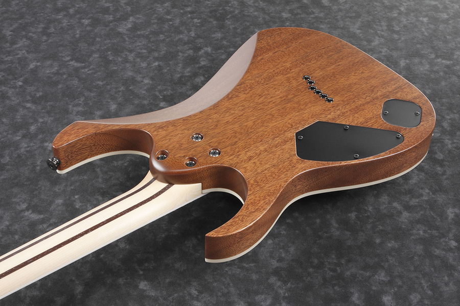 Электрогитара IBANEZ RGR5221-TFR - купить в Одессе, Киеве, Украине ...