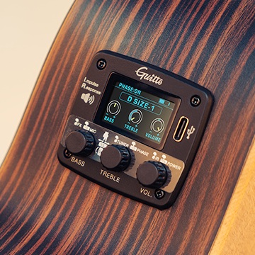 Трансакустический звукосниматель Guitto GGP-04 - купить в Одессе, Киеве, Украине | Артикул ...