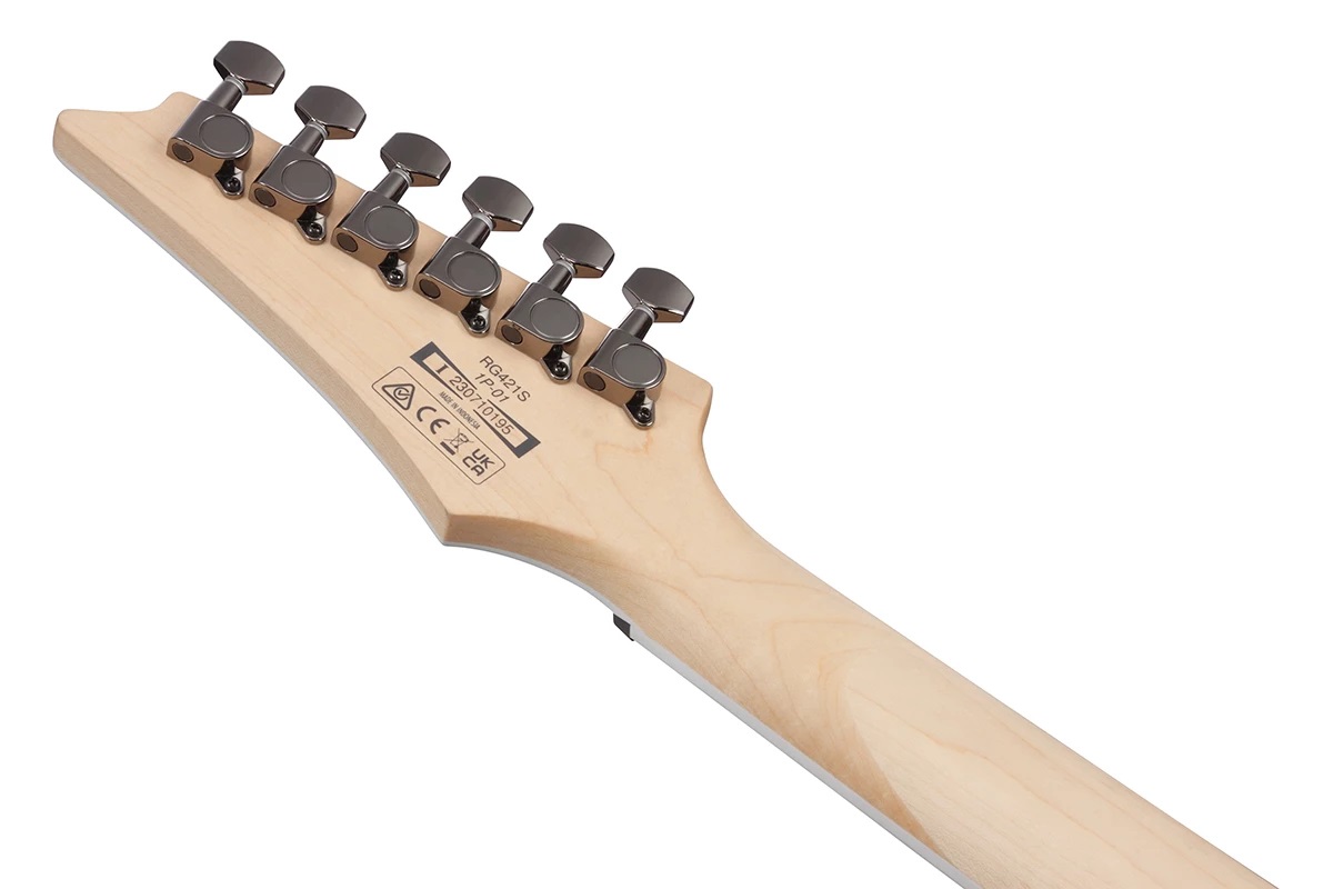 Электрогитара IBANEZ RG421S SEM - купить в Одессе, Киеве, Украине ...