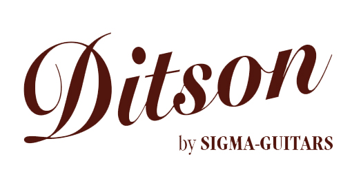 Музыкальное оборудование Ditson: купить в Украине, Одессе по доступной ...