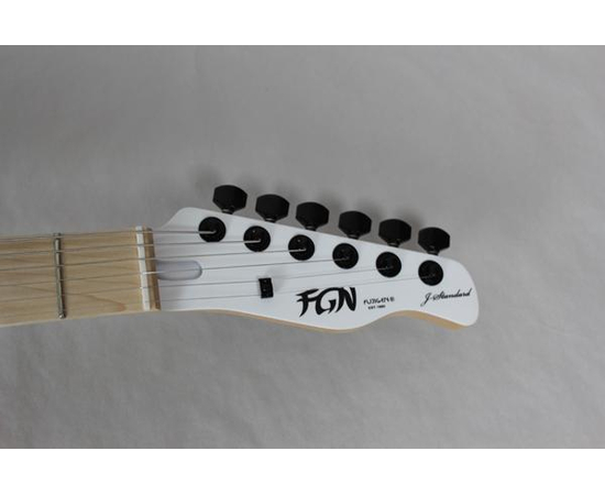 Электрогитара FUJIGEN JIL-ASH-DE664-M ILIAD DARK EVOLUTION SERIES (TWF) - купить в Одессе, Киеве ...