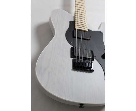 Электрогитара FUJIGEN JIL-ASH-DE664-M ILIAD DARK EVOLUTION SERIES (TWF) - купить в Одессе, Киеве ...