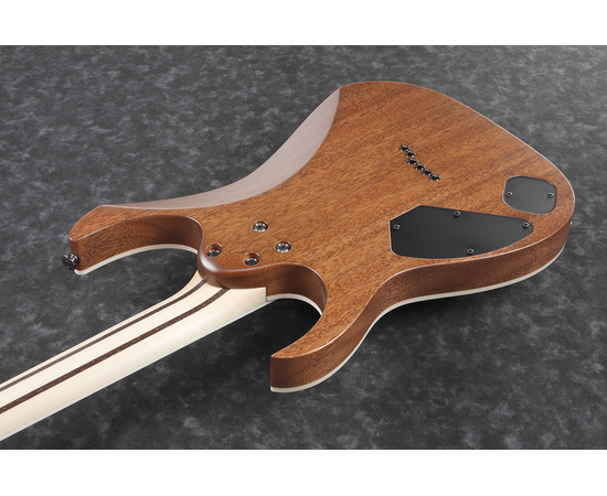 Электрогитара IBANEZ RGR5221-TFR - купить в Одессе, Киеве, Украине ...